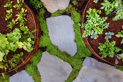 Pistils Landscape Design + Build – Pistils Nursery