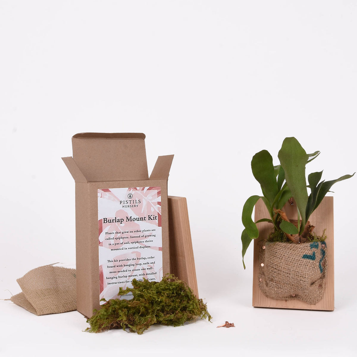 DIY Burlap Mounting Kit - Plant Crafts - Pistils Nursery